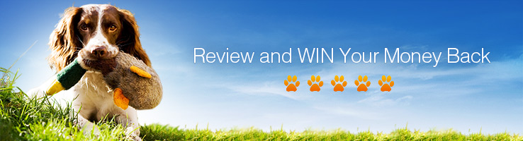 Review And Win Your Money Back Page