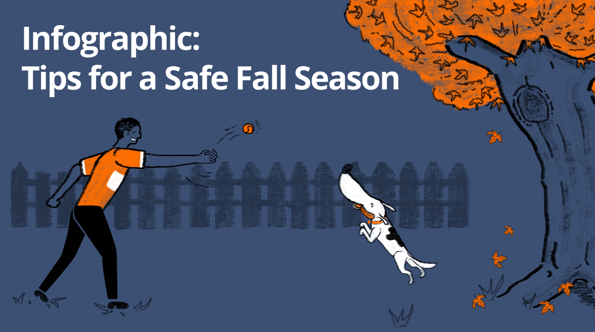 Infographic: 12 Tips for a Safe Fall Season - Pet Shed