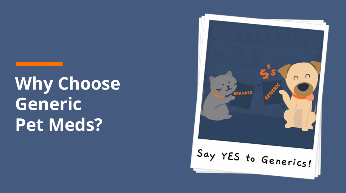 Why Choose Generic Pet Meds? - Pet Shed
