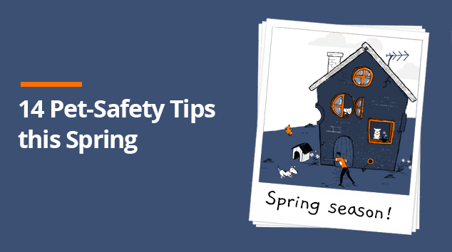 Pet-Safety Tips to Remember During Spring - Pet Shed