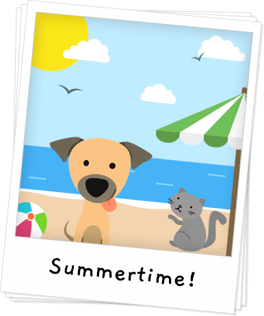 Infographic: 11 Summer Safety Tips for Pets - Pet Shed