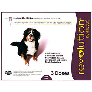 Selamectin in Revolution for Dogs - Pet Shed
