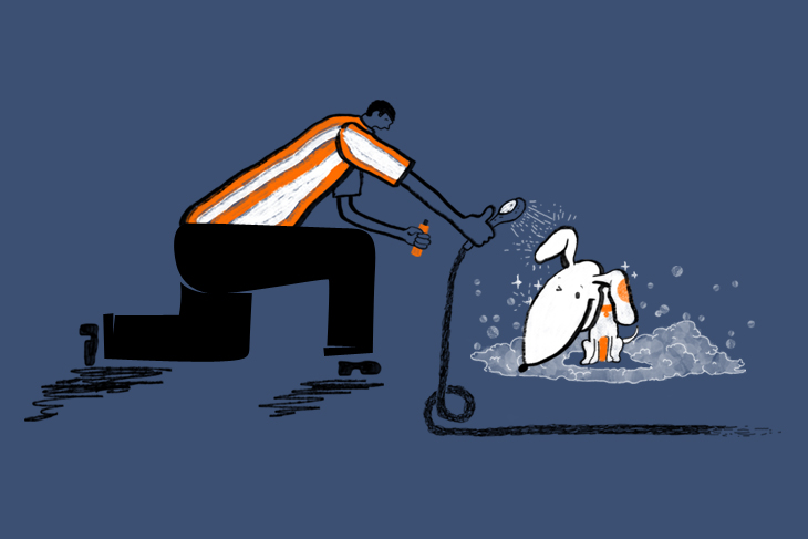 Dog Wash: How to Clean Your Canine - Pet Shed