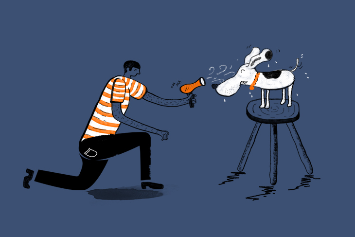 Dog Wash: How to Clean Your Canine - Pet Shed