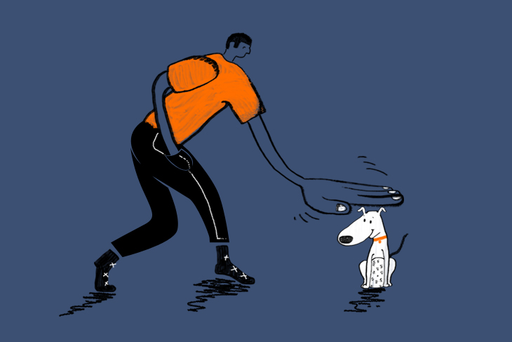 Dog Wash: How to Clean Your Canine - Pet Shed