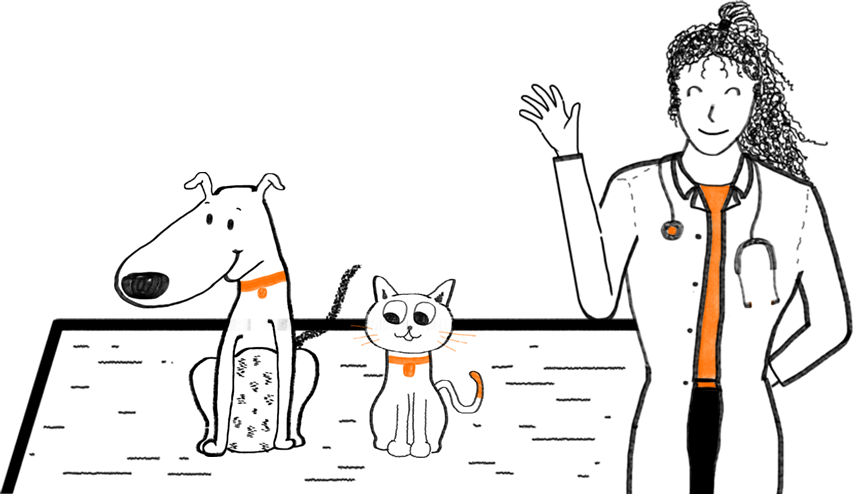 Can Worms in Dogs Infect Humans? - Pet Shed